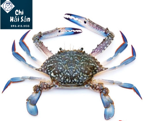 #New sale quý 2/2024 Ghẹ ngợp – món ngon chất lượng mà giá lại hời ...