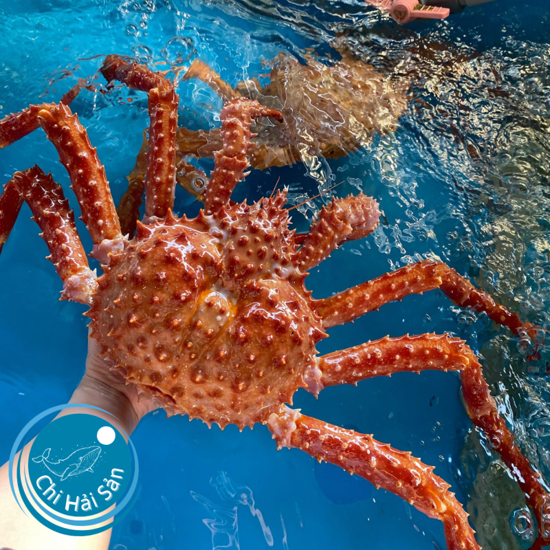 Trang chủ - CHI HẢI SẢN